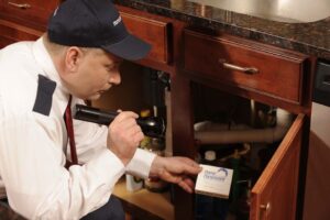 Pest Control Services | Local Exterminator | Schedule Today