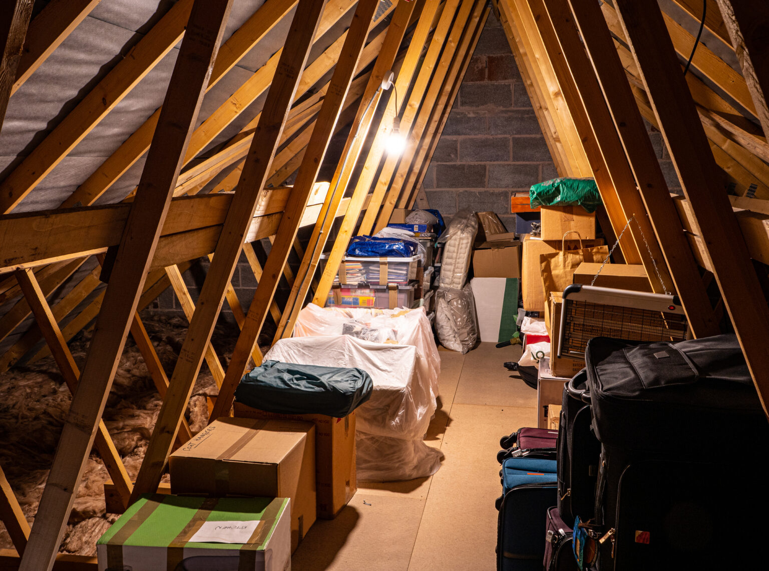 Wildlife In The Attic: Signs, Risks & Removal Strategies